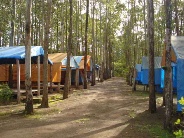 Camping Colina do Sol (Naturista)- Guia e APP MaCamp