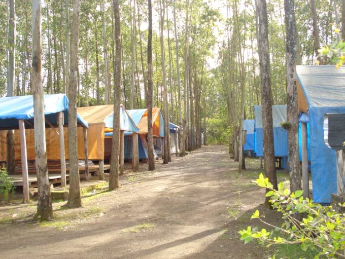 Camping Colina do Sol (Naturista)- Guia e APP MaCamp