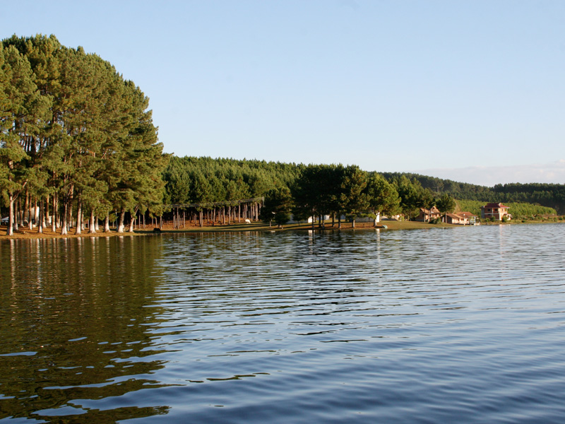 Camping Ilha do Sul (Braulio) - Rio Negrinho-SC | Guia MaCamp
